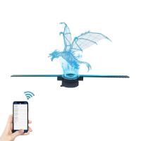 China 24-hour Response Time 65cm/80cm/100cm 3D Hologram Fan for Air Holographic Projection for sale