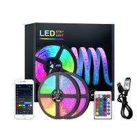 China Lighting Solutions Service 30 Meter 12V Bluetooth LED Strip Light with 5050 RGB RGBIC for sale
