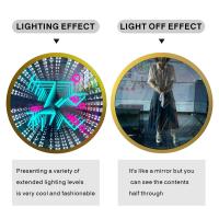 China Neon Mirror Lights Indoor Outdoor Voltage DC12V/AC110-220V for Playing Pictures Magic Mirror for sale