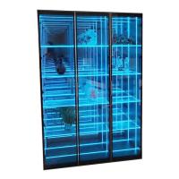China Model Lego Mini Figure Infinity LED Sign Display Case with DC12V/AC110-220V Voltage for sale