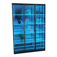 China DC12V/AC110-220V Voltage Custom Color-Changing RGB Lights for Fashionable Trends for sale