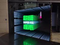 China 300000 Hours Working Lifetime Neon Abyss Mirror LED Screen Hologram 3D Decoration Lights for sale