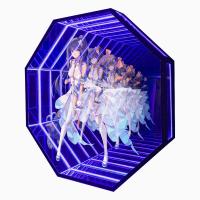 China Colorful 3D Hologram Projector Infinity Mirror Neon Abyss Mirror Sheet Vibrant Visuals for sale