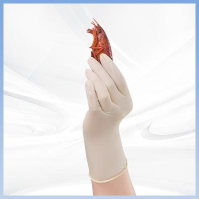China Disposable Latex Gloves Powder Free Food Processing S M L 3 Year Shelf Life for sale