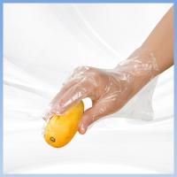 China ASTM Disposable PE Gloves Food Handling Waterproof Oil Proof 100pcs Box S M L XL for sale