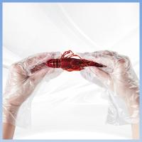 China Disposable PE Gloves Oil Proof Clear Food Service Gloves 100pcs Box S M L XL for sale