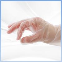 China Disposable TPE Clear Food Service Gloves Non Toxic Latex Free 100pcs Box S M L XL for sale