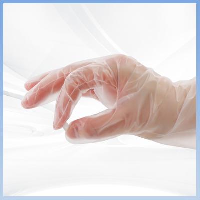 China Disposable TPE Clear Food Service Gloves Non Toxic Latex Free 100pcs Box S M L XL for sale