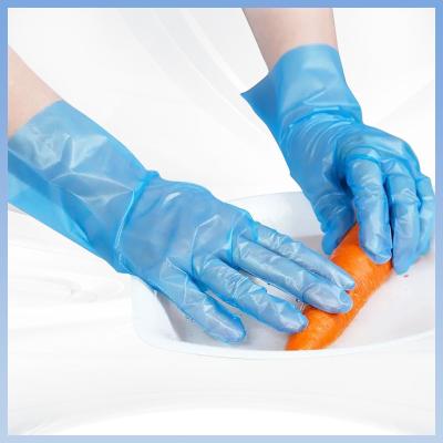 China Eco Friendly TPE Disposable Gloves 100pcs Box Blue S M L XL Recyclable for sale