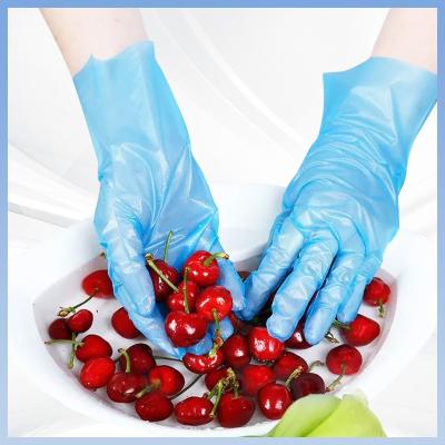 China FDA Disposable TPE Gloves Abrasion Resistant Food Safe 100pcs per Box for sale