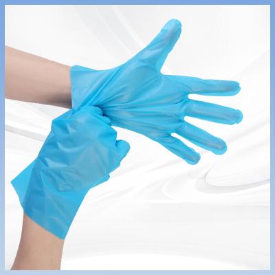 China Latex Free Disposable TPE Gloves 100pcs per Box Blue S M L XL for Clinics Laboratories for sale