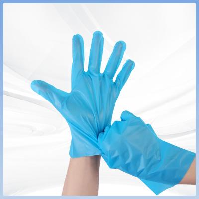 China Disposable CPE Gloves for Beauty Salon Nonslip Thermoplastic 100pcs per Box S M L XL for sale