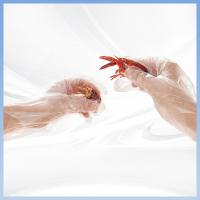 China Disposable PE Gloves Food Service Polythene Gloves 100pcs per Box S M L XL for sale