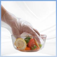 China Disposable PE Gloves Food Service Polythene Gloves 100pcs per Box S M L XL for sale
