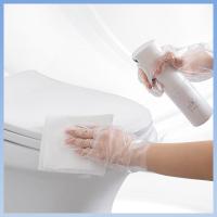 China Disposable PE Gloves Food Service Polythene Gloves 100pcs per Box S M L XL for sale