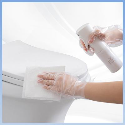 China Disposable PE Gloves Food Service Polythene Gloves 100pcs per Box S M L XL for sale