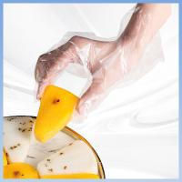 China Disposable PE Gloves Transparent Food Handling Chemical Resistance 0.01-0.025mm S M L XL for sale