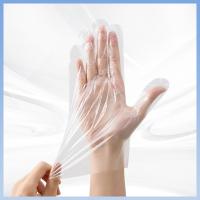 China Transparent PE Disposable Gloves 0.01-0.025mm Food Service Polyethylene Gloves for sale