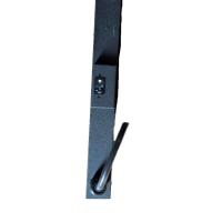 China Geist C1650L F0132152 220V 32A 16A Single Phase Input Switch PDU for Network Cabinet for sale