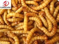 China Tunnel Microwave Black Soldier Fly Larvae Tenebrio Mealworm Insect Microwave Dryer for sale