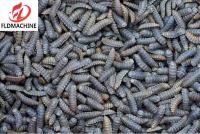 China Tunnel Microwave Black Soldier Fly Larvae Tenebrio Mealworm Insect Microwave Dryer for sale