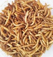 China 50kw Yellow Mealworm Larvae Microwave Drying Machine for sale