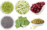 China Automatic Industrial Tunnel Drying Sterilization Equipment Conveyor Belt Fruit Tea Microwave Dryer Machine for sale