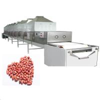 China Microwave Larvae Black Soldier Fly Dryer Drying Machine for sale