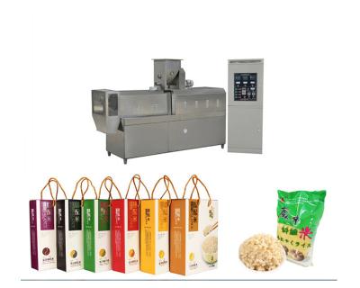 China Low Price Rice Fortification Machine Machines Extruded Rice Processing Line Plant for sale