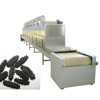 China Grain Microwave Oven Cashew Nut Drying Machine for sale
