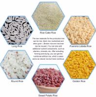 China Nutrition Rice Plant Manufacturer Fortified Rice Production Line Plant for sale