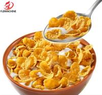 China Extruded Corn Flakes Snacks Food Production Line/Making Equipment for sale