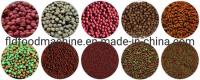 China Feed Hammer Mill Grinding Equipment Type for 2-3 Workers in Fish Feed Production Machine for sale