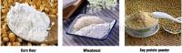 China Pet Fish Food Machine for Dog Fish Cat Pet Food Making Equipment Food Machine for sale