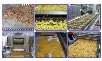 China Stainless Steel Oatmeal Making Machine Model No. Slg65-III for Food Grade Materials for sale