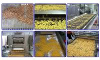 China LG Electric Parts Extrusion Snack Machine for Food Snacks Corn Flakes Production Line for sale