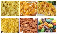 China LG Electric Parts Extrusion Snack Machine for Food Snacks Corn Flakes Production Line for sale