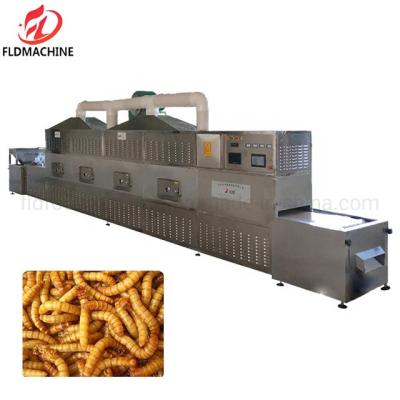 China Electricity Energy-Saving Tenebrio Molitor Black Soldier Fly Microwave Drying Device for sale