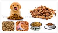 China Customer On-Site Service Pet Food Machine for Dogs and Cats Twin Screw Extrusion for sale