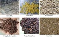China 100-150kg/H Capacity Fortified Rice Kernels Machine with State-of-the-Art Technology for sale