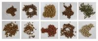 China Automatic Best Price Floating Fish Feed Pet Food Pellet Making Machine Extruder Production Line for sale