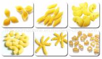 China Customized Macaroni Pasta Making Machine for High Capacity Production for sale