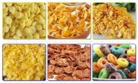China 100pieces/Year Cheetos Nik Nak Snack Food Extruder with Long Lifetime Screw Materials for sale