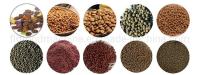 China Cheap Price Automatic Production Floating Fish Feed Making Plant for sale