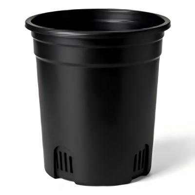 China Grade Ventilated Nursery Planter with Reinforced Rim for sale