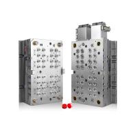 China High-Precision Multi-Cavity Efficient + Hot Runner Injection Mold for sale