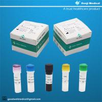China Monkeypox Virus MPV Nucleic Acid Detection Kit Real Time PCR Method for sale