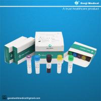 China Monkeypox Virus MPV Nucleic Acid Detection Kit Real Time PCR Method for sale