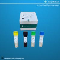 China Novel Coronavirus COVID-19 Nucleic Acid Testing Kit CE Qualitative Rt Pcr Test for sale