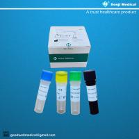 China Novel Coronavirus COVID-19 Nucleic Acid Testing Kit CE Qualitative Rt Pcr Test for sale